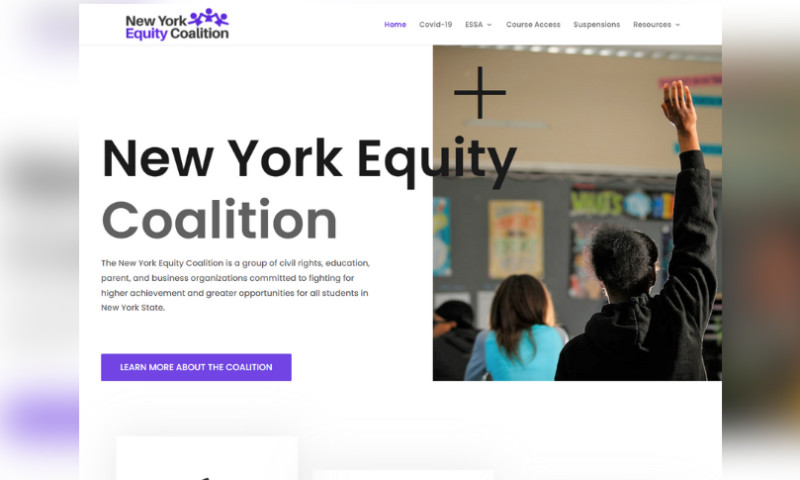 Division Web Design Reviews | View Portfolios | DesignRush