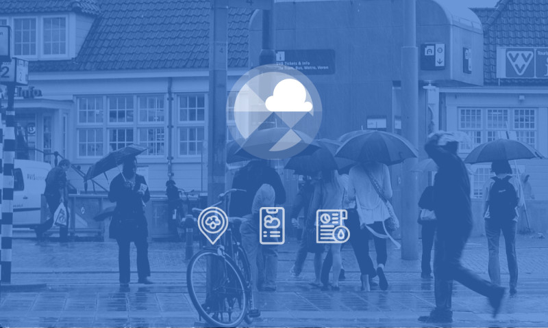 Lizard Global Reviews | View Portfolios | DesignRush