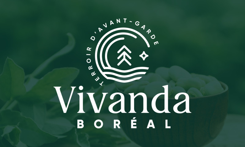 Alizes Reviews | View Portfolios | DesignRush