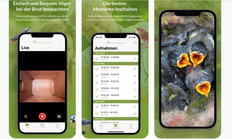 appsolute Reviews | View Portfolios | DesignRush