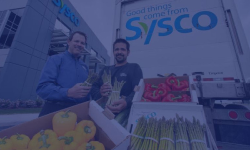 Ecodox Reviews | View Portfolios | DesignRush