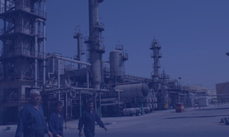 Ecodox Reviews | View Portfolios | DesignRush