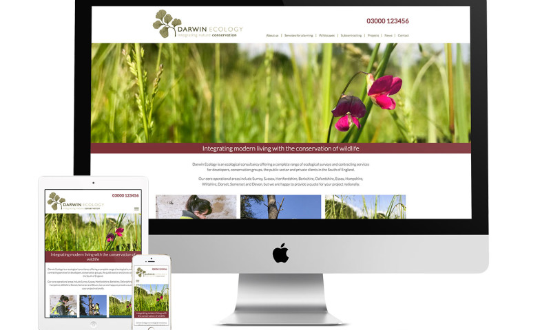 Boltwood Digital Reviews | View Portfolios | DesignRush