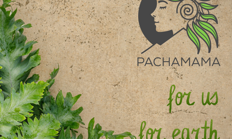 Webellz Innovation Reviews | View Portfolios | DesignRush