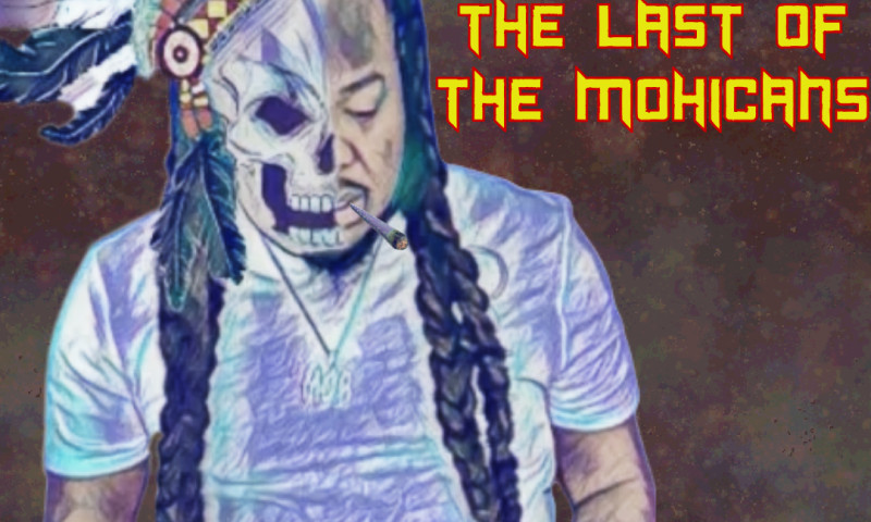 Asterisk Web Design Services Reviews | View Portfolios | DesignRush