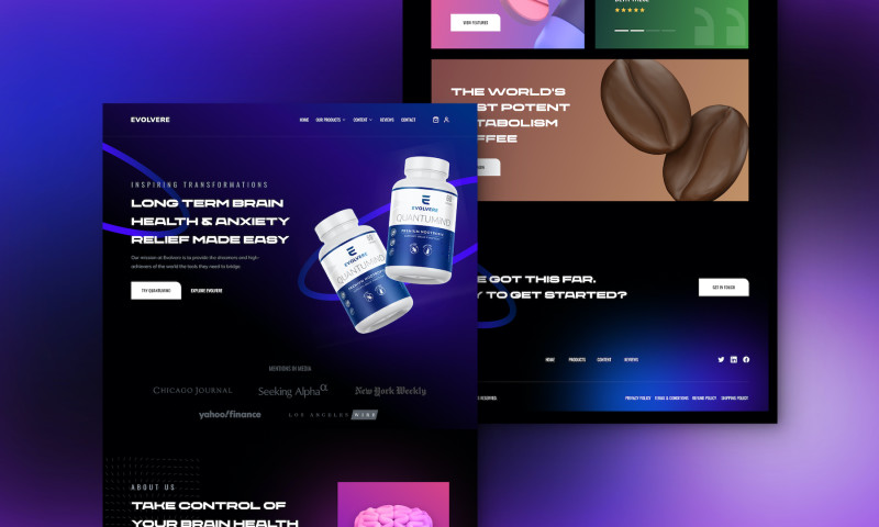 BearPlex Reviews | View Portfolios | DesignRush