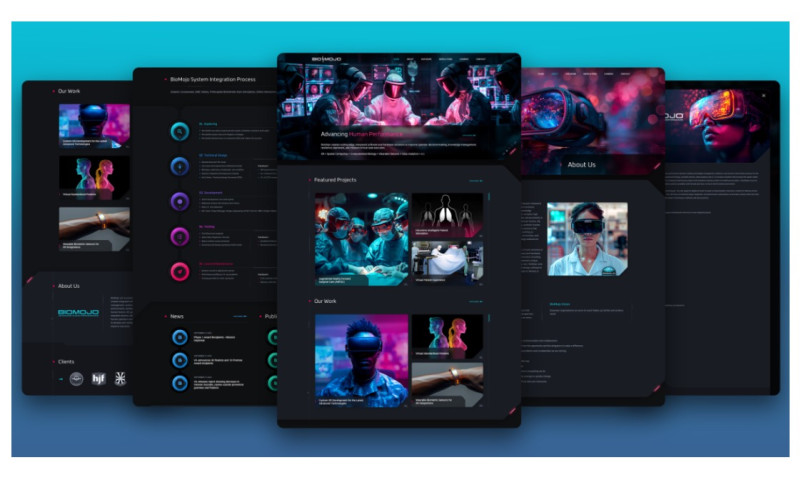 The Skins Factory Reviews | View Portfolios | DesignRush