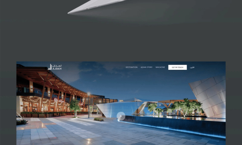 GO-Globe Reviews | View Portfolios | DesignRush