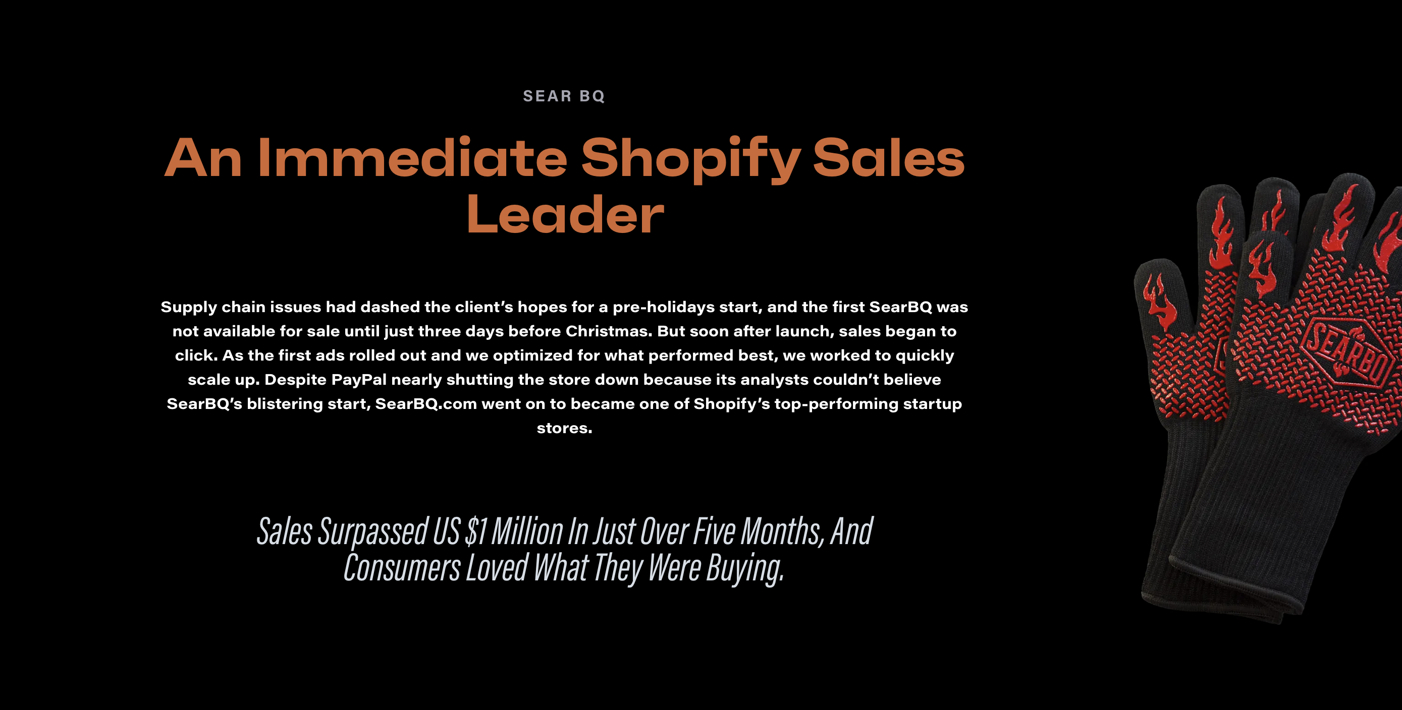 SearBQ Consumer Product Marketing | Product Marketing