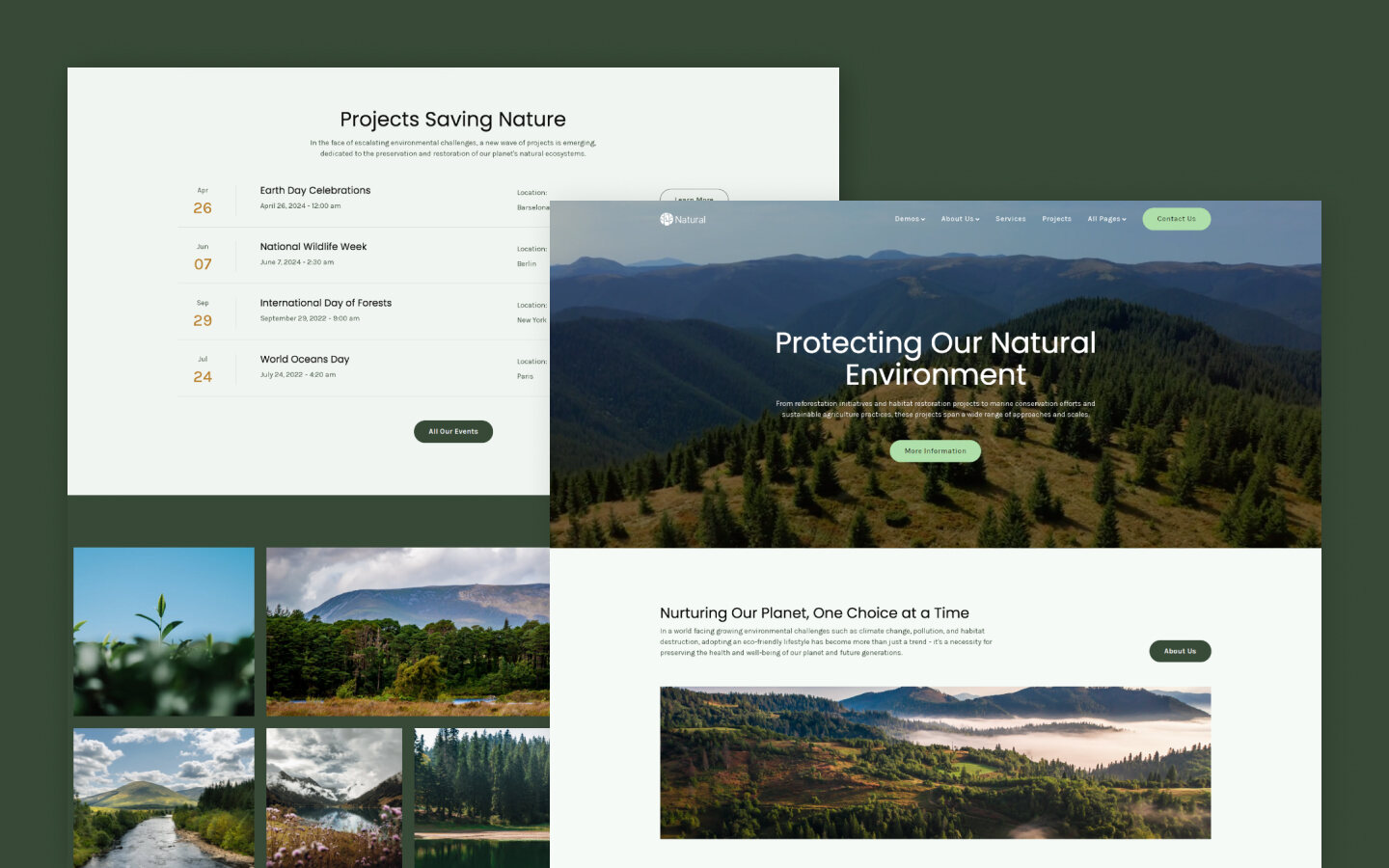 Natural W - Eco Environmental and Natural Website Template | Web Design