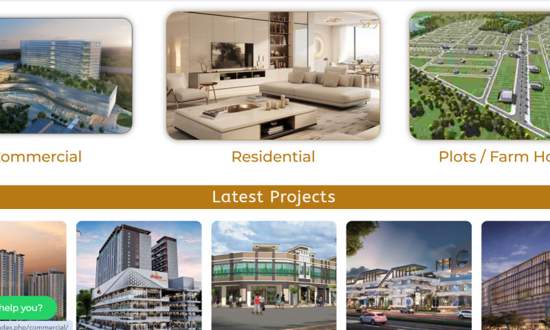 Probey Services Reviews | View Portfolios | DesignRush