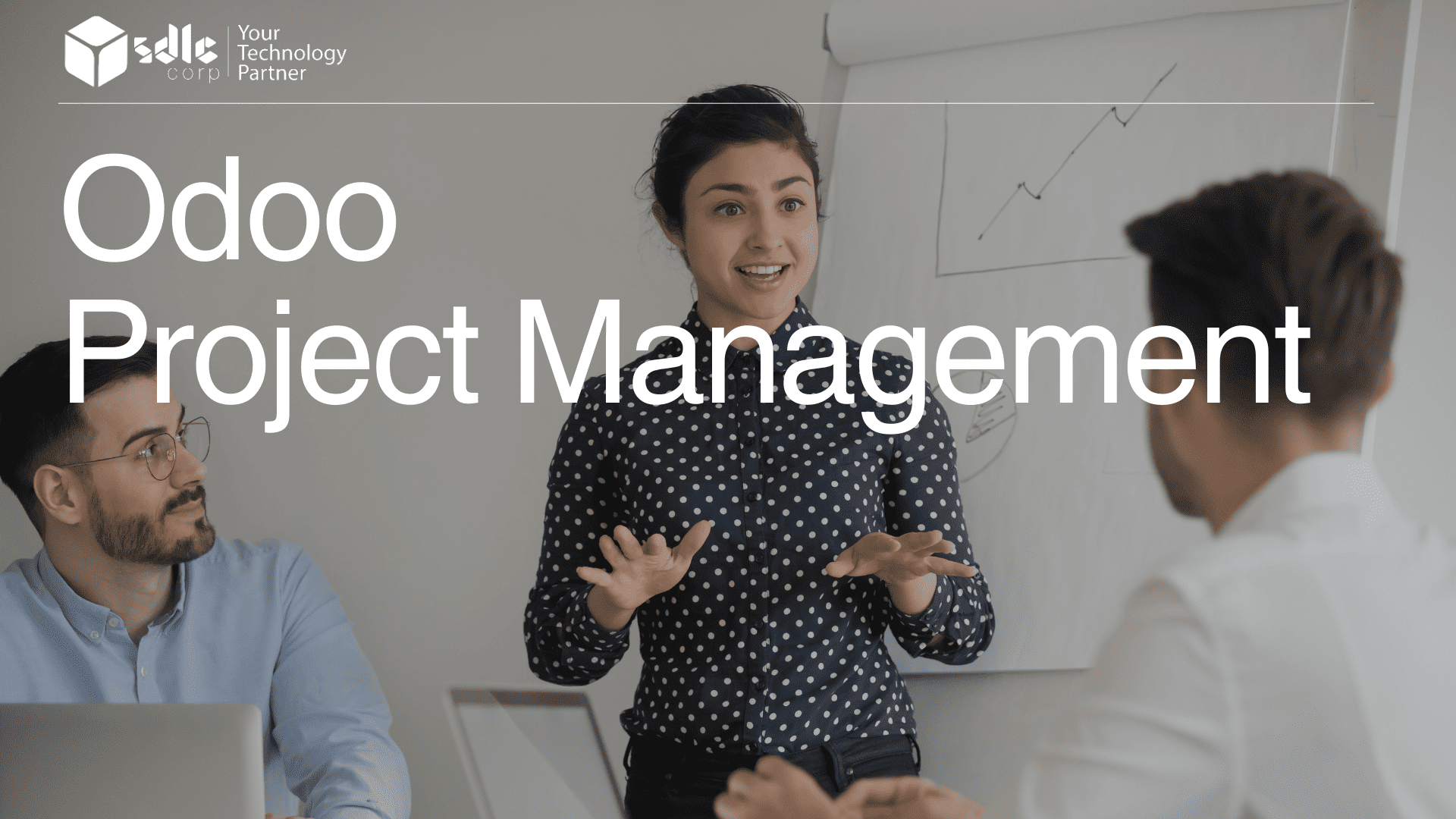 Odoo Project Management Software Development