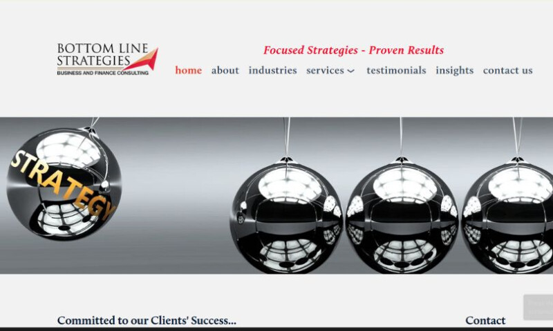 NetFusion Designs Reviews | View Portfolios | DesignRush