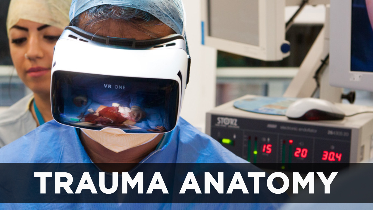 Trauma Anatomy | Software Development