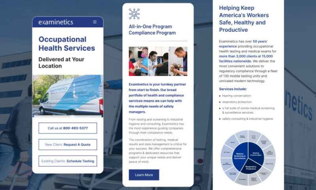 Top WordPress Web Design Companies - Nov 2024 Rankings | DesignRush