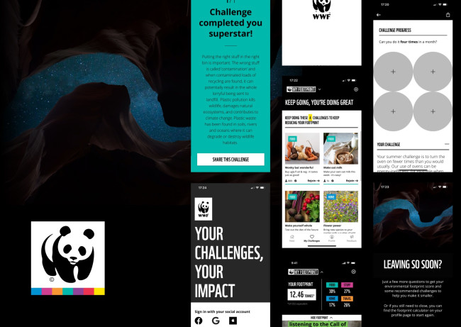 How Pocket App Helped WWF Get 200K Downloads, 7 Awards | DesignRush