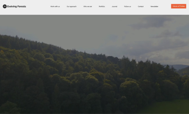 13 Most Beautiful Website Designs of 2026 | DesignRush