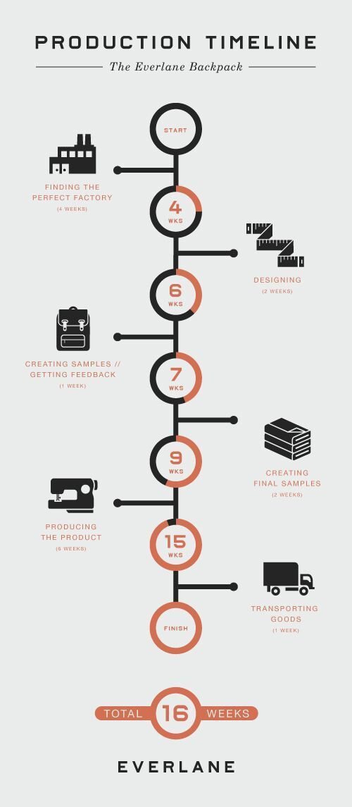 Timeline Infographic Examples (2025) | DesignRush