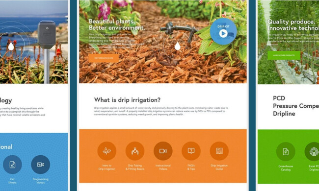 DIG Corp Website Design | DesignRush