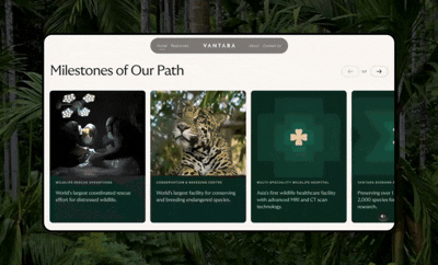 Vantara Website Design | DesignRush
