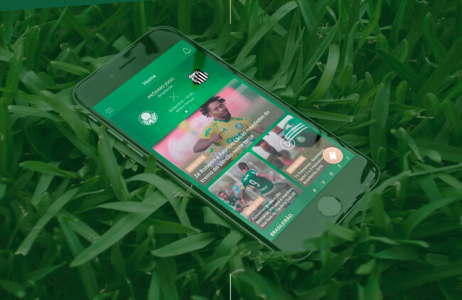Palmeiras App Design | DesignRush